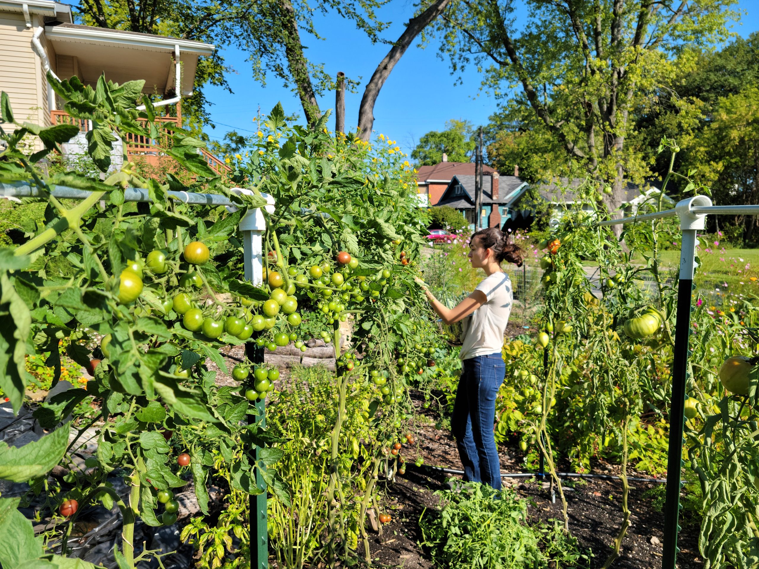 Couple brings unique farming method to their Flint neighborhood - Flint ...